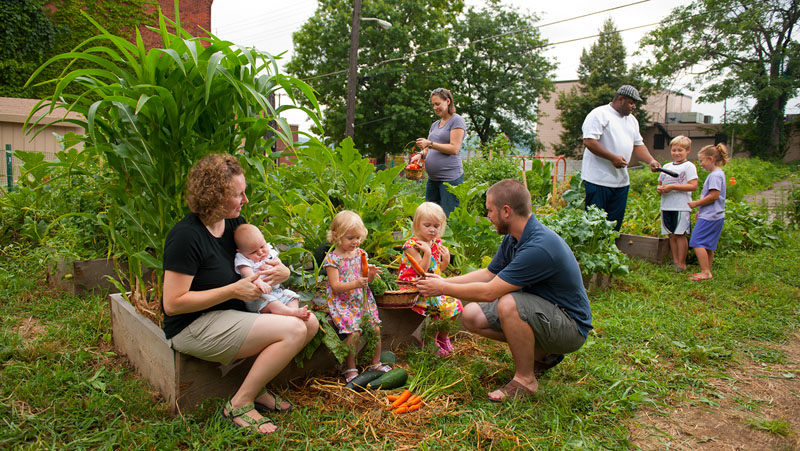 Tustin St. Community Garden – Uptown Partners of Pittsburgh